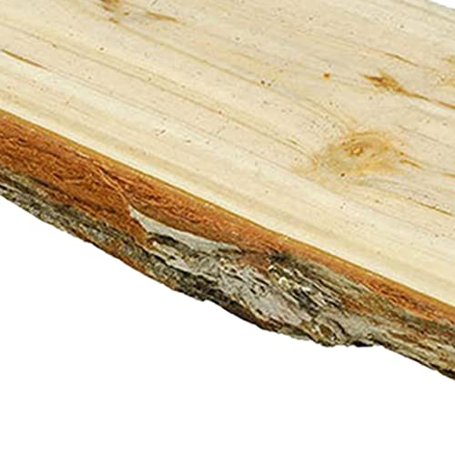 Natural Wooden Bird Perch Stand, Multi-Branch Hanging Perch Platform for Parrots, Cockatiels, Conures, Macaws, 7-8cm 15cm