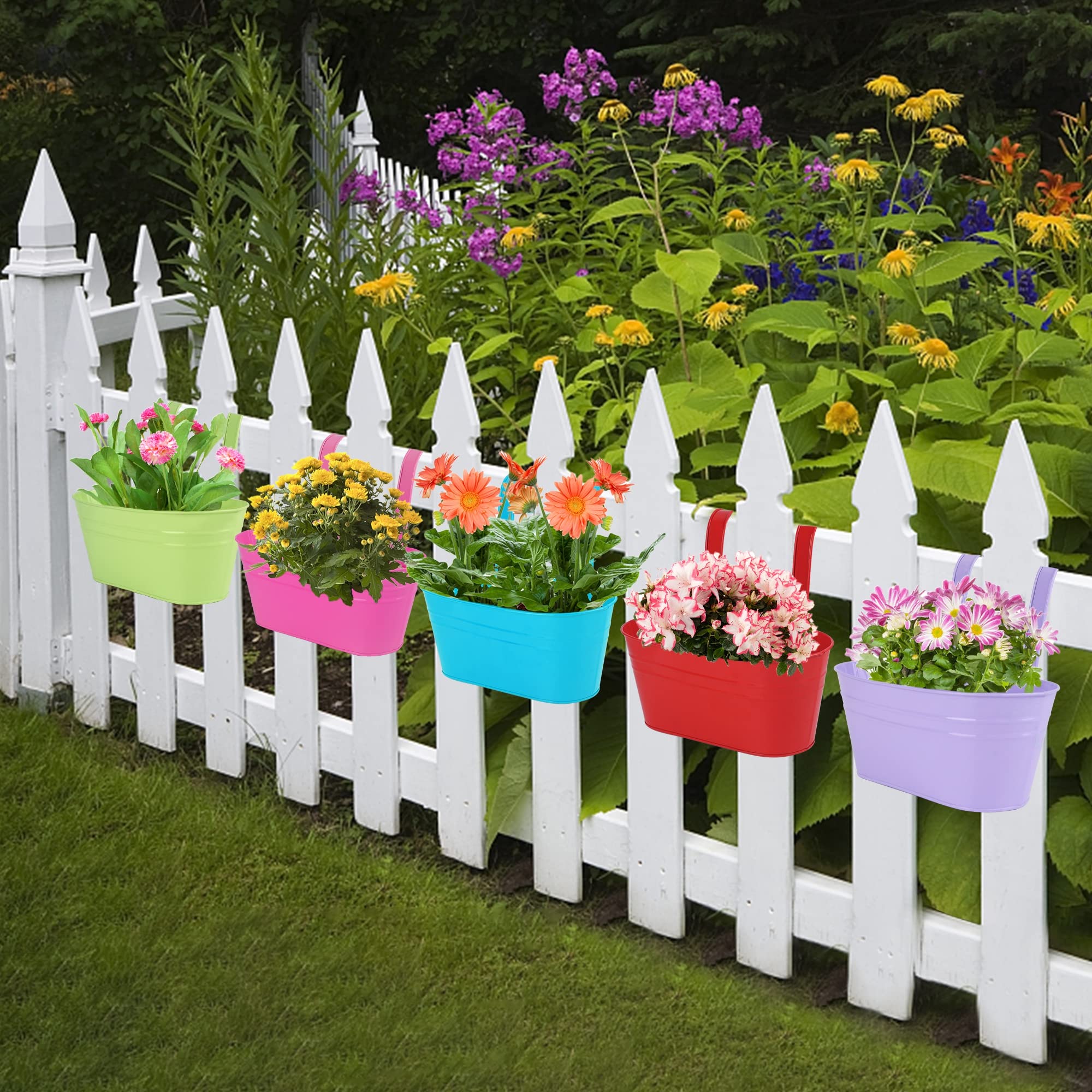 Glory Island 10 Pack 6 in Metal Iron Hanging Flower Pots, Balcony Planter with Detachable Hook, Durable Herb Pots Perfect for Fence (6 inches)
