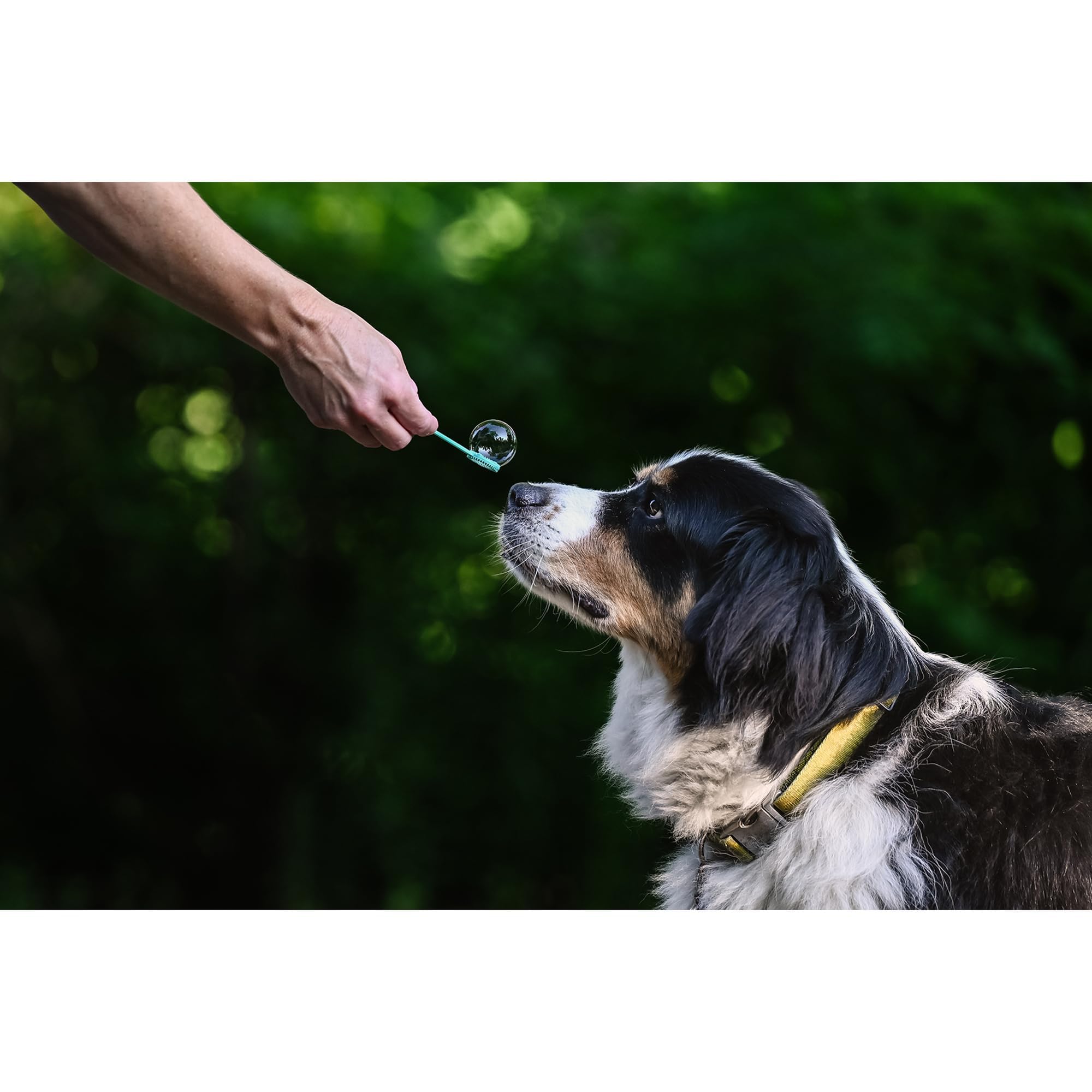 Puppy Love Bubbles, Bacon Scented Bubbles 4oz. Bottle-2 Pack in Bacon Flavor for Dogs