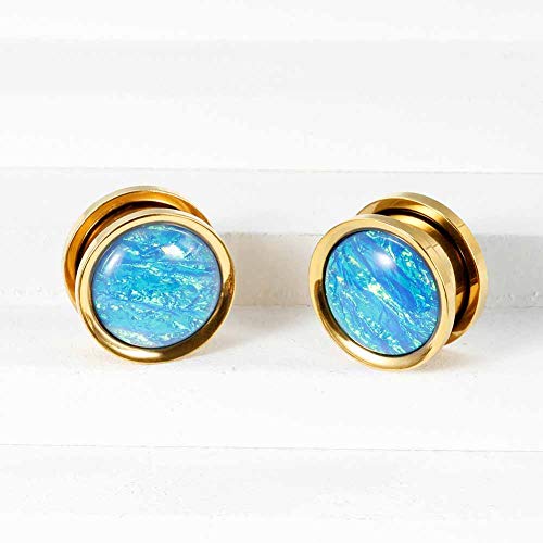 COOEAR 1 Pair Stainless Steel Ear Gauges Screw Back Tunnels Fake Shell Logo Plugs Earrings Size 2g to 1 inch.