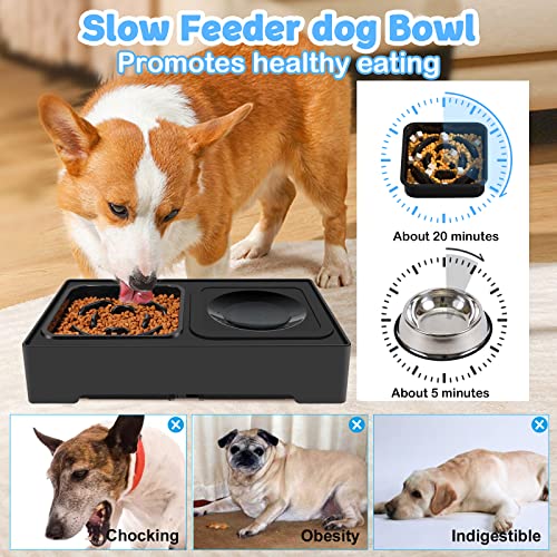 ikuso 2-in-1 Elevated Slow Feeder Dog Bowls 4 Height Adjustable Raised Dog Bowls with No Spill Water Bowl and Non-Skid Silicone Mat Non-Toxic Slow,Mess Proof,Non-Tip,Protect Dog Spine
