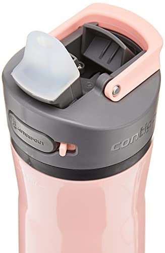 Contigo Ashland Chill Stainless Steel Water Bottle with Leakproof Lid & Straw