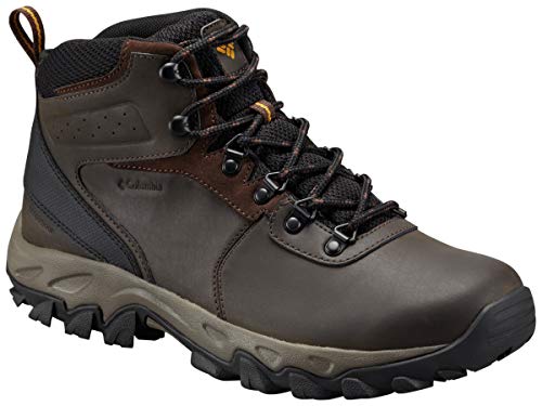 Columbia mens Newton Ridge Plus Ii Waterproof Hiking Boot, Cordovan/Squash, 9 US