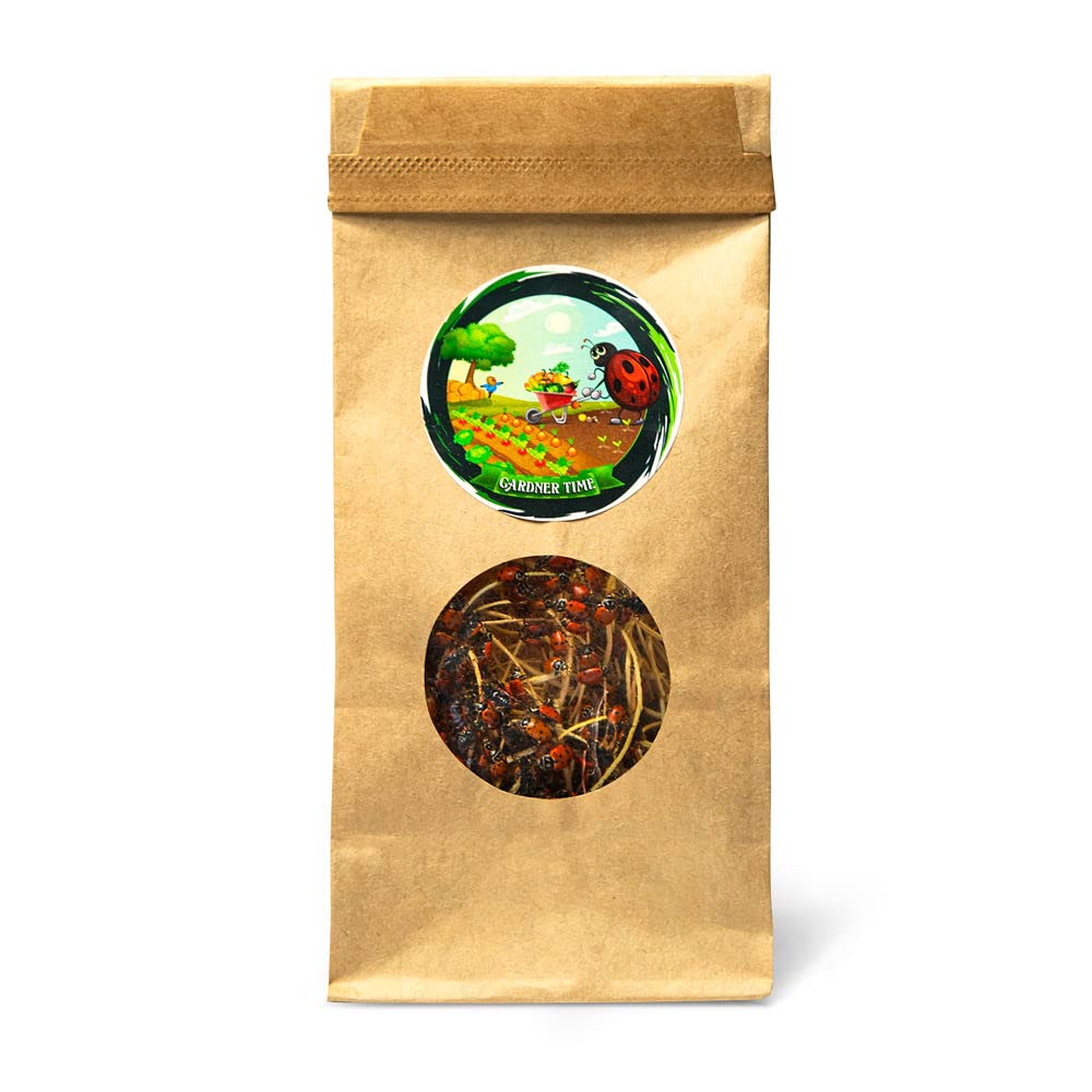 Gardner Time Live Ladybugs - Good Bugs for Garden - Pre-Fed Hippodamia Convergens - Ladybugs - Guaranteed Live Delivery - Ladybugs Live (150)