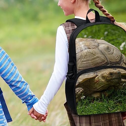 Parprinty Kids Funny Animal Tortoise Backpack for Boys Girls Comfy Padded Lightweight Sturdy Student School Backpack with Front Pocket Double Zipper 17 Inch Kids Basic Black Daypack Bookbag