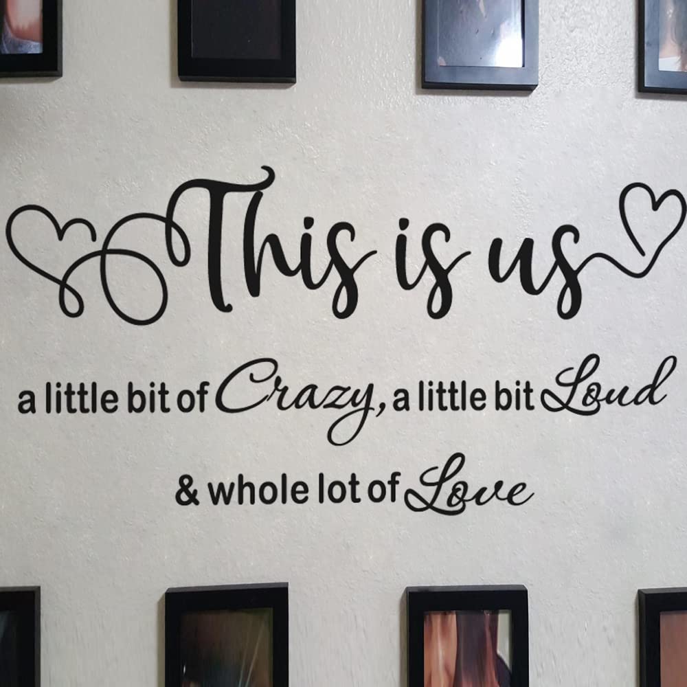 FlyWallD Bedroom Wall Decals Peel and Stick Vinyl Art Love Stickers House Nursery Decor - This is Us A Little Bit of Crazy