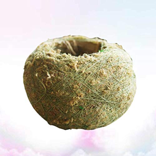 Generic 5pcs Moss Ball Planter Japanese Style Natural Kokedama Flower Vase Flower Pot Creative Sphagnum Flower Holder Potted Hydrating Bonsai Plants Containers for Home Wedding Decor