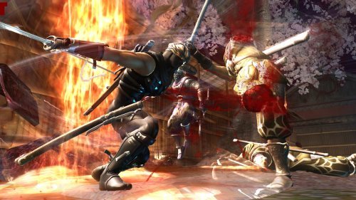 Ninja Gaiden II (Renewed)