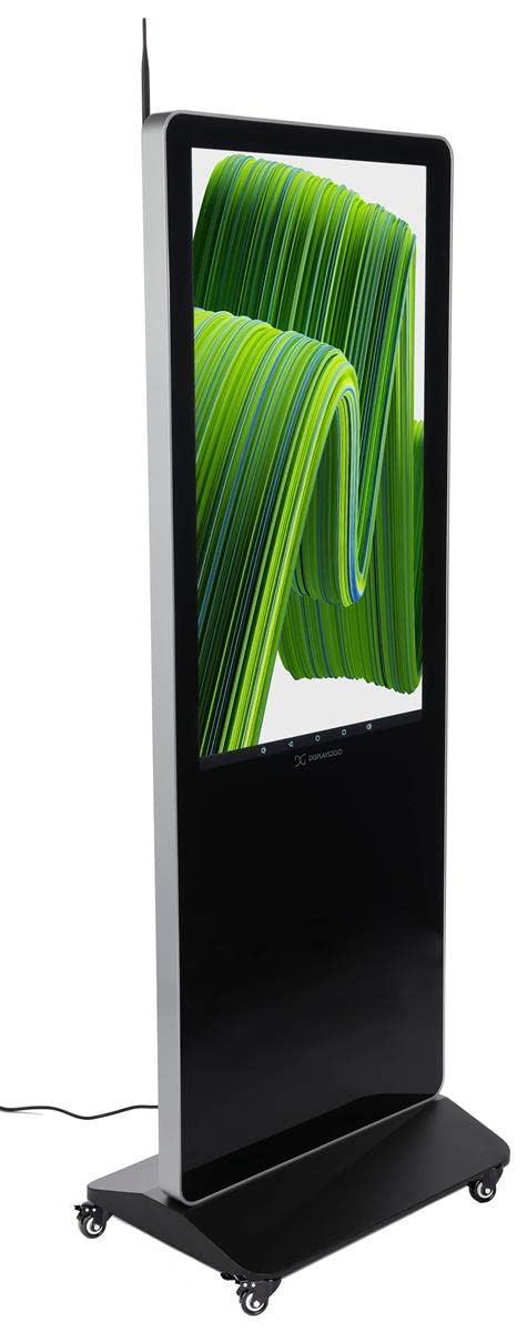 Displays2go 43" Standing Digital Signage Kiosk w/Wheels, Non-Touch, 1 Year Warranty - Black (DGSNFSNT43)