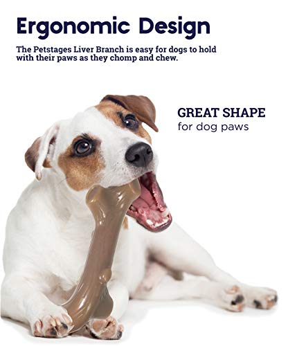 Petstages Dog Chew Toys β Safe and Long Lasting Chewable Sticks - Tough Alternative Chewing Sticks for Dogs