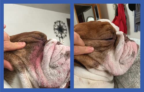 Squishface Wrinkle Paste & Flexible Silicone Dog Wrinkle Cream Applicator Bundle - Softer, Cleaner Way to Apply Wrinkle Paste to Your Dog's Face - Great for All Breeds!