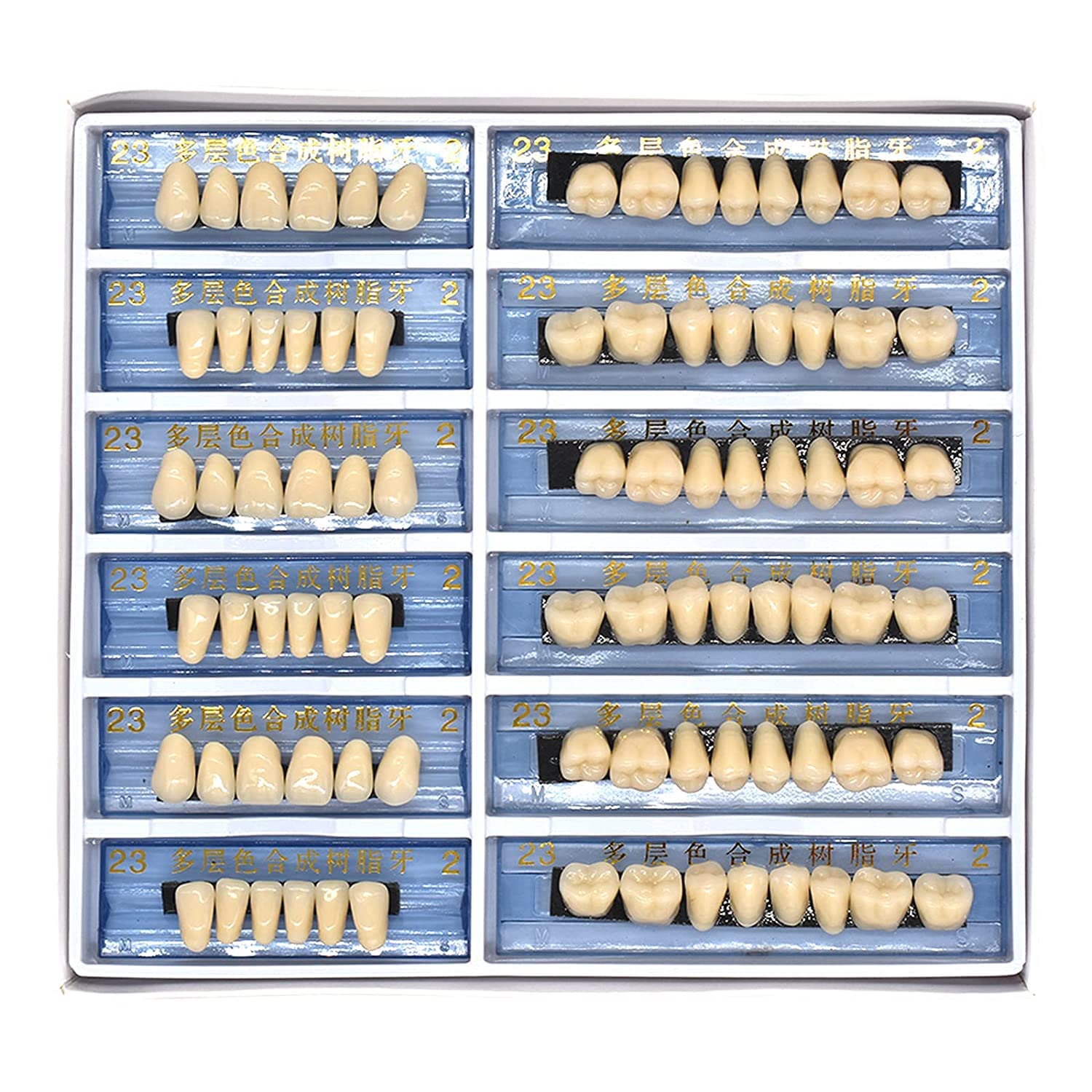 RZJZGZ 168 Pcs Dentures Resin Teeth Halloween Fake Teeth Vampire Horror Teeth Fangs for Halloween Party Cosplay Props Horror Party FavorsA2 …