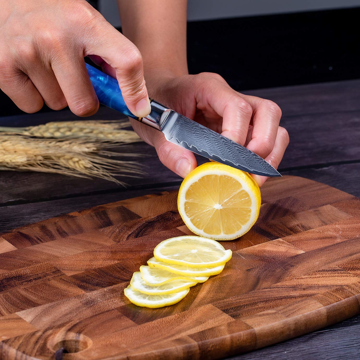 Fukep Santoku Knife + Paring Knife, HC Stainless Steel Super Sharp Kitchen Knife
