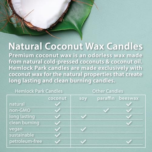 Hemlock Park Wood Wick Candle Handcrafted with Natural Coconut Wax and Essential Oils (Amber & Gold 7.2 oz, Pumpkin Crème)