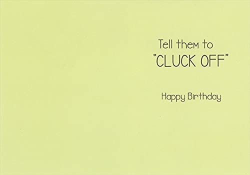 Recycled Paper Greetings You're No Spring Chicken Humorous/Funny Birthday Card