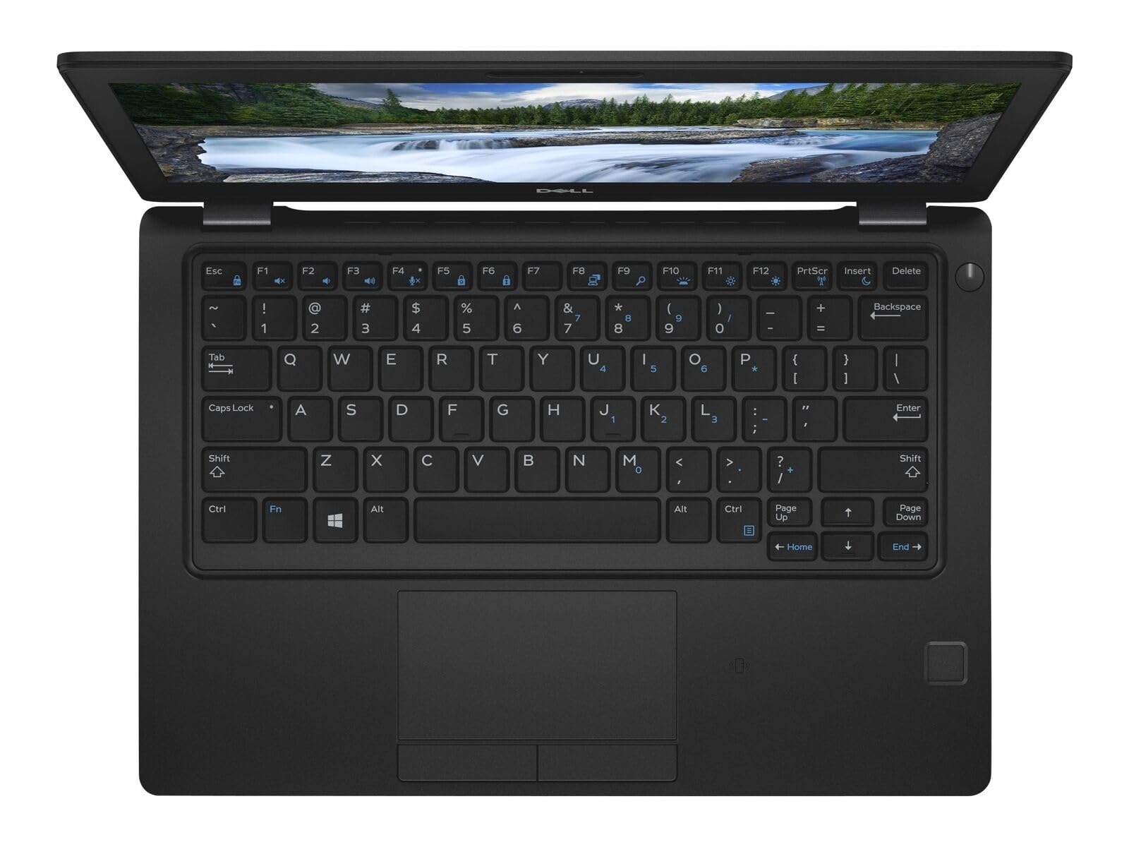 Dell Latitude 5290 Business Laptop, 12.5" HD (1366 x 768) Non-Touch, 8th Gen Intel Core i5-8350U, 8GB RAM, 256GB SSD, Intel UHD Graphics, Windows 10 Pro (Renewed)