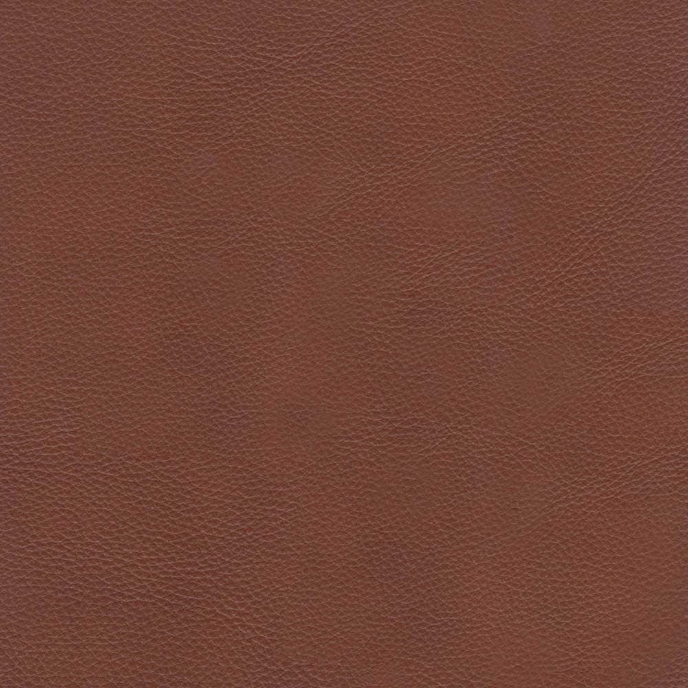 Hydeline Aiden Top Grain Leather Loveseat, Cinnamon Brown, Memory Foam and Springs Seating