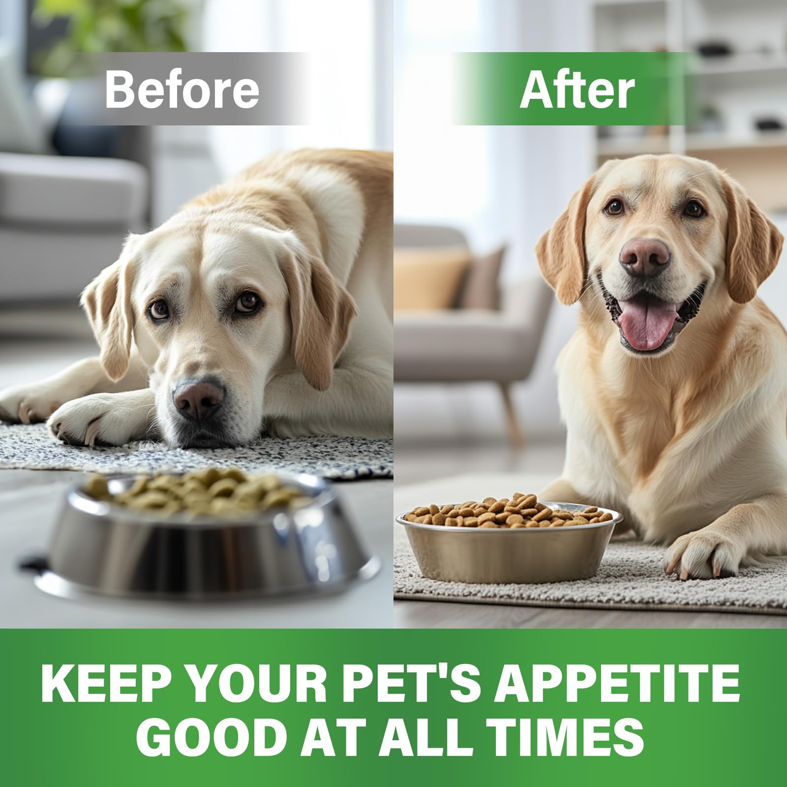 Milk Thistle for Dogs, Milk Thistle Treatment Support Liver & Kidney Improve Healthy Function for Pets, Dog Liver Supplement Milk Thistle Drops