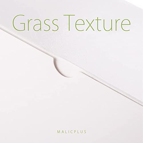 MALICPLUS 10 Gift Boxes 9.5x6.5x4 Inches Gift Boxes with Lids Boxes for Gifts Bridesmaid Proposal Boxes, White Gift Boxes Bulk for Light Weight Gifts, Crafting, Grass Texture White
