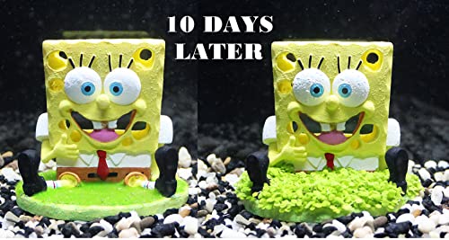 Penn-Plax Spongebob Squarepants Aqua-Flora Living Aquarium Decoration with Embedded Glosso Plant Seeds β Spongebob
