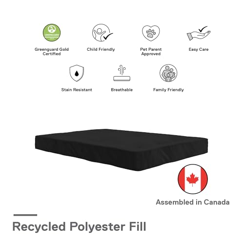 DHP Eve 8 Inch Thermobonded High Density Polyester Fill Futon Mattress, 8 in, Black