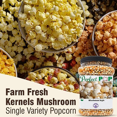 Concession Essentials Gourmet Mushroom Extra Large Popcorn Kernels - 2lbs