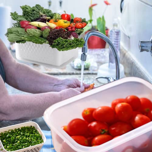 Set of 5 with Drain Basket Fruit Storage Containers , King Size to Mini Tall Airtight Fridge Fresh Produce organizer , used for food Frozen Vegetable and Salad, refrigerator veggie saver keeper