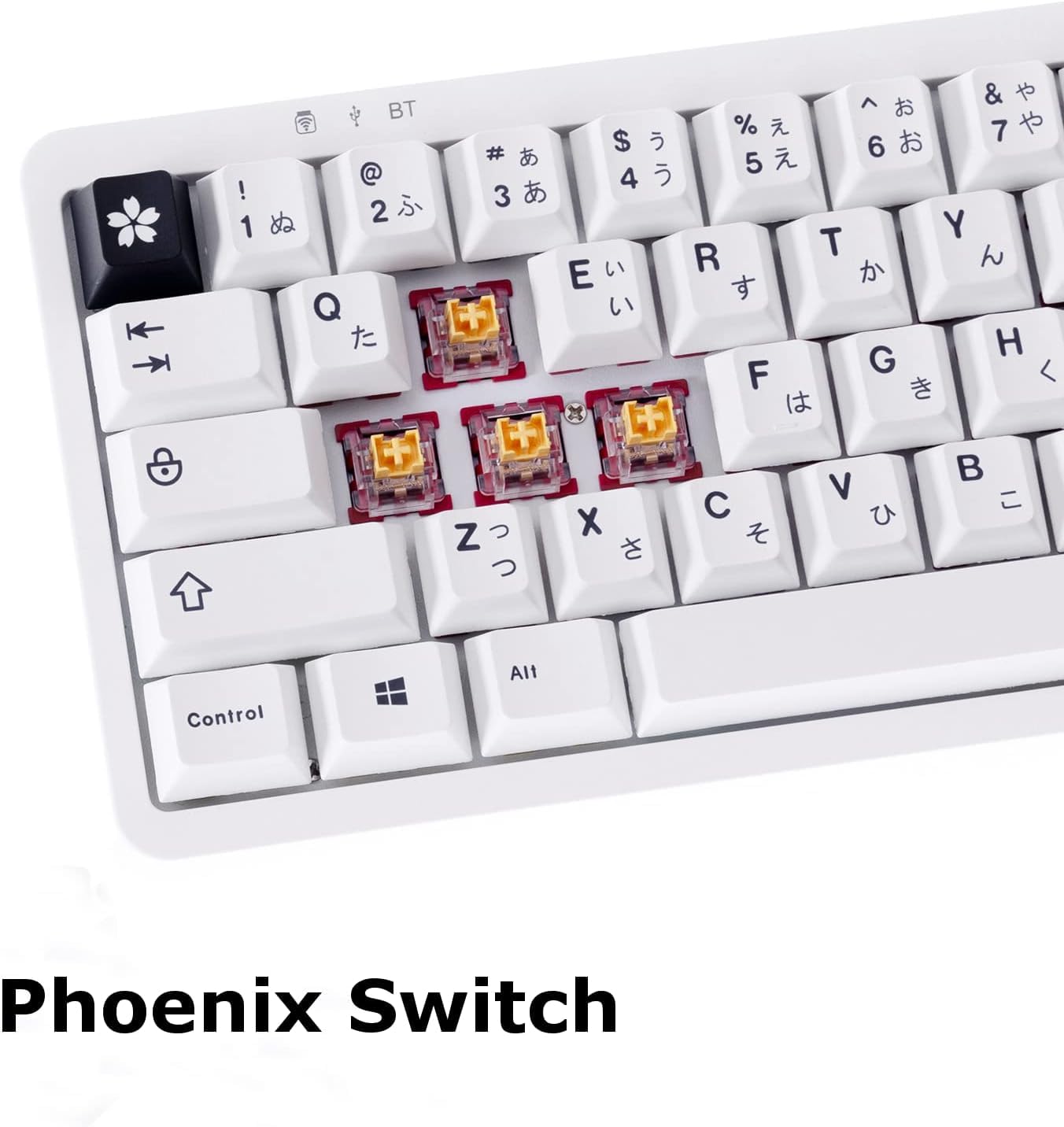 GK GAMAKAY Silent Linear Mechanical Keyboard Switch, 35Pcs/Pack GamaKay Phoenix Switch 3 Pin Pre-lubed Switches for LK67 TK75 CK68 DIY Mechanical Gaming Keyboard (Phoenix Switch)