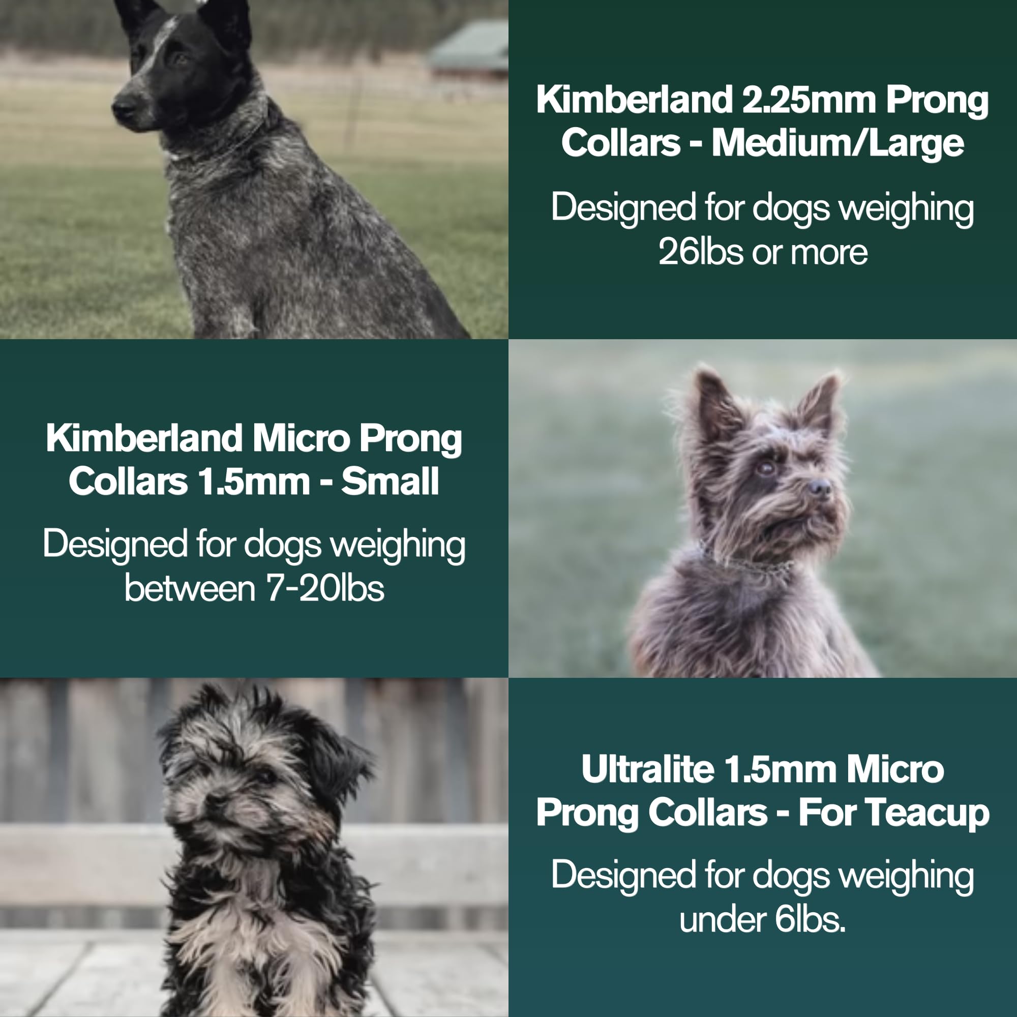 Kimberland Collars Clasp 2.25mm Stainless Steel Low Pro Dog Training Collar for Medium-Large Breeds | 16β Micro Prong Collar for Dogs 26lbs & Up | No-Pull Collar | Dog/Puppy Training & Behavior Aid