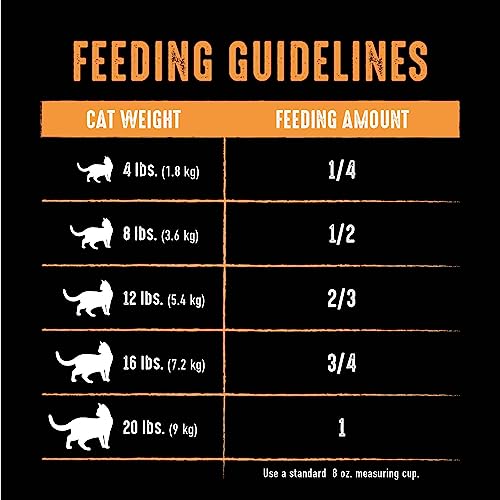 CRAVE Grain Free Adult High Protein Natural Dry Cat Food with Protein from Chicken, 10 lb. Bag