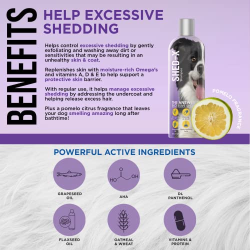 Shed-X Shed Control Shampoo for Dogs, 16 oz β Reduce Shedding β Shampoo Infuses Skin and Coat with Vitamins and Antioxidants to Clean, Release Excess Hair, and Exfoliate