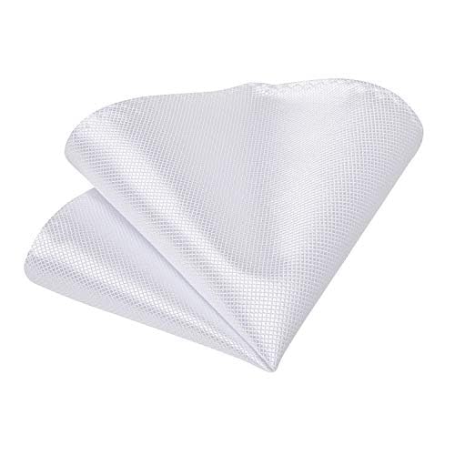 DiBanGu Tie Set for Men Solid Color Necktie, Gold Tie Tack, Gold Tie Ring, Pocket Square, Cufflinks Formal Mens Silk Tie, White