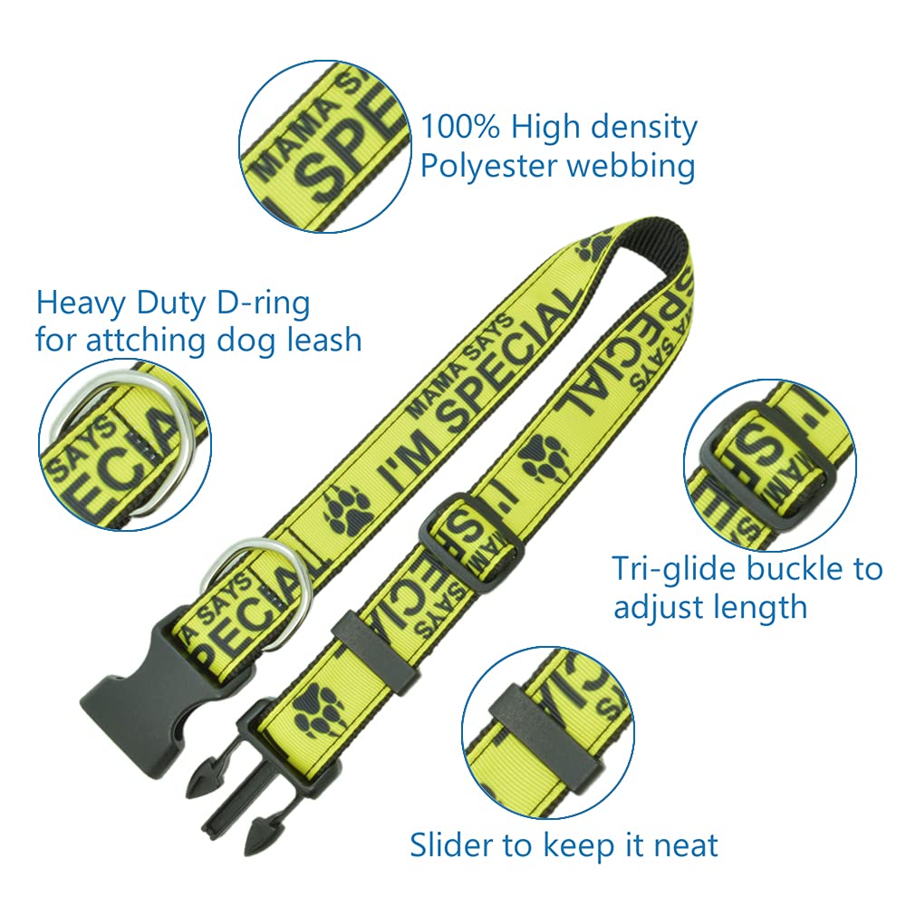 DWOOFG Dog Collar for Mama SAYS I'm Special, Sturdy Durable with Buckle, Yellow Dog Collars for Small Medium Large Dogs, Premium Adjustable Polyester Pet Collar