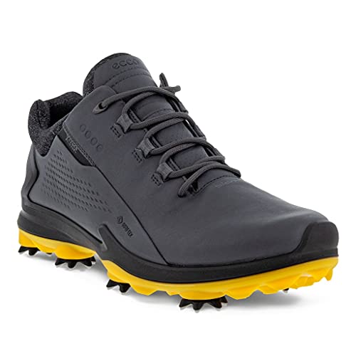 ECCO Men's Biom G 3 Gore-Tex Golf Shoe, Magnet, 10-10.5