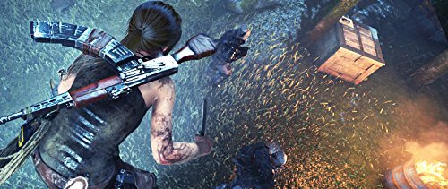 Rise of the Tomb Raider 20 Year Celebration Edition w/ Art Book - PlayStation 4