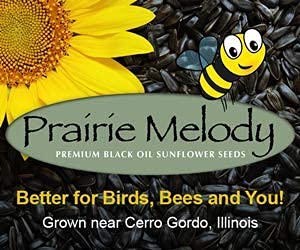 Prairie Melody(TM) Premium Black Oil Sunflower Bird Seed, Pesticide Free, 12-Pound Bag