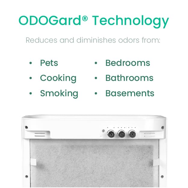 Greentech Environmental PureHEPA+ with ODOGard - Advanced HEPA Air Purifier and Odor Eliminator for Spaces up to 175 sq ft - CARB Certified