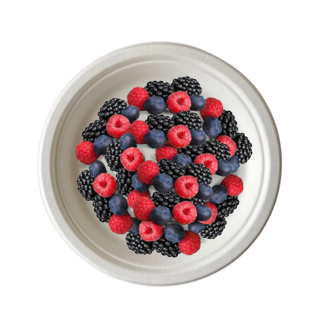 eco247 100% Compostable 3-Compartment Round Plates [9" - 125 Count] Heavy Duty Bulk Disposable Plates | Eco-Friendly White Recyclable Plates | Biodegradable Natural 100% Sugar Cane Bagasse