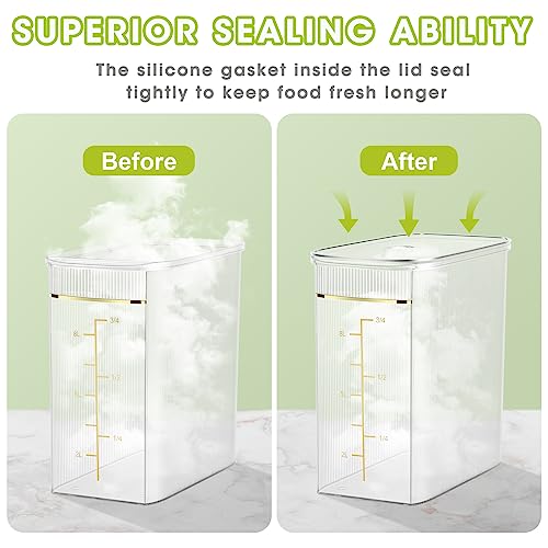 TBMax Rice Storage Container 20 Lbs, Crystal-Clear Large Food Container Rice Holder Bin with Measuring Cup for Flour, Sugar, Oatmeal, Kitchen Pantry Organization and Storage