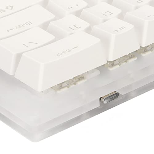 Gaming Keyboard, Hot Swap Type C USB3.1 Wired Mechanical Keyboard RGB Lighting Effects for Home (Brown Switch)