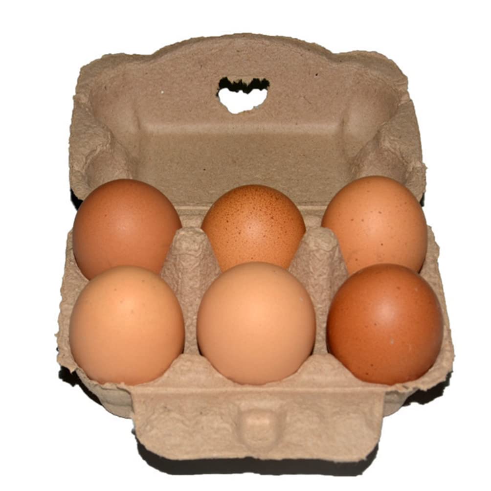 Happyyami 20pcs Egg Cartons Egg Tray Holder 6 Count Eggs Keeper Egg Bulk Container for Family Farm Market Camping Picnic Travel