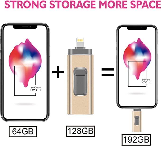 Guanshan Ash 4 in 1 High Speed USB Multi Drive Flash Drive,USB Flash Drive Compatible for iPhone and Computer, Flash Drive for iPhone & Photo Stick for Android Phones (64GB,Silver)