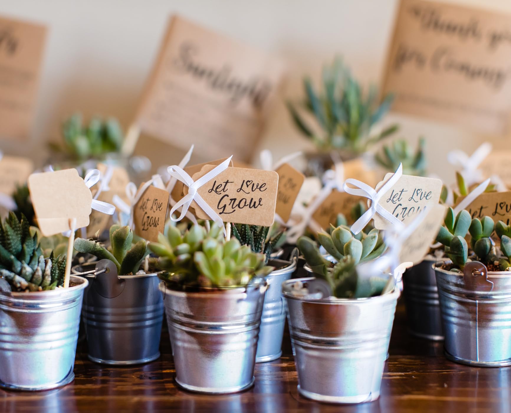 GIFTEXPRESS 12 Pack Mini Metal Buckets with Handles, Small Galvanized Tin Pails for Party Favor, Succulent, Wedding