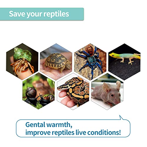 HYDGOOHO Reptile Heat Pad with Thermostat Under Tank Terrarium Heater MET Approved Waterproof Heat Mat Terrarium Accessories for Snake Lizard Hermit Crab Turtle Frog Spiders (8X12`` Pad +Thermostat)
