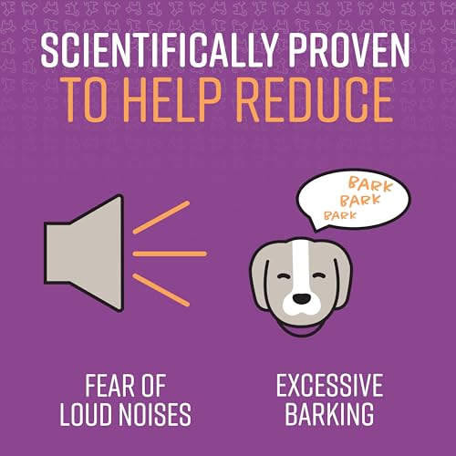 SENTRY PET Care Sentry Calming Collar for Dogs, Anxiety Reducing Pheromone Collar, Releases Pheromones for 30 Days, Helps Calm During Loud Noises and Separation, 1 Count, Purple