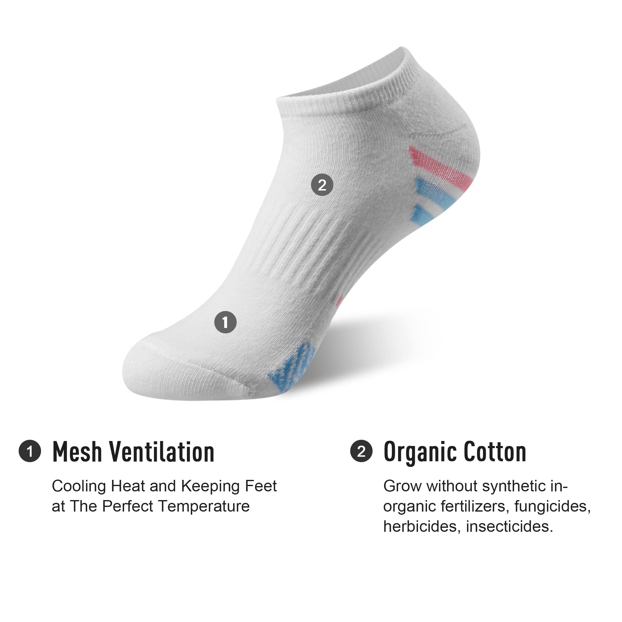 ECOEY Boys and Girls No Show Cushioned Athletic Running Socks 6 Pairs