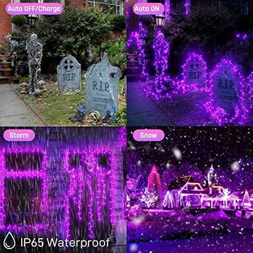 Solar String Lights Outdoor Waterproof 8 Modes 200 LED 72ft Solar Fairy Lights Outdoor for Patio Garden Fence Path Holiday Party Halloween St. Patrick's Day Christmas Decorations (Purple-2 Pack)