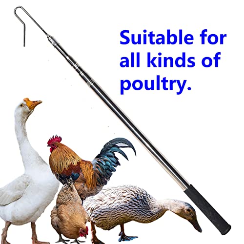 GLOBOTECH Extendable Chicken Catcher Leg Hook - Stainless Poultry Hook Fowl Catcher, 25" Extend to 59", Perfect Tool for Safe and Easy Handling of Fowl, Duck Catcher Instead of Bird Catching Net