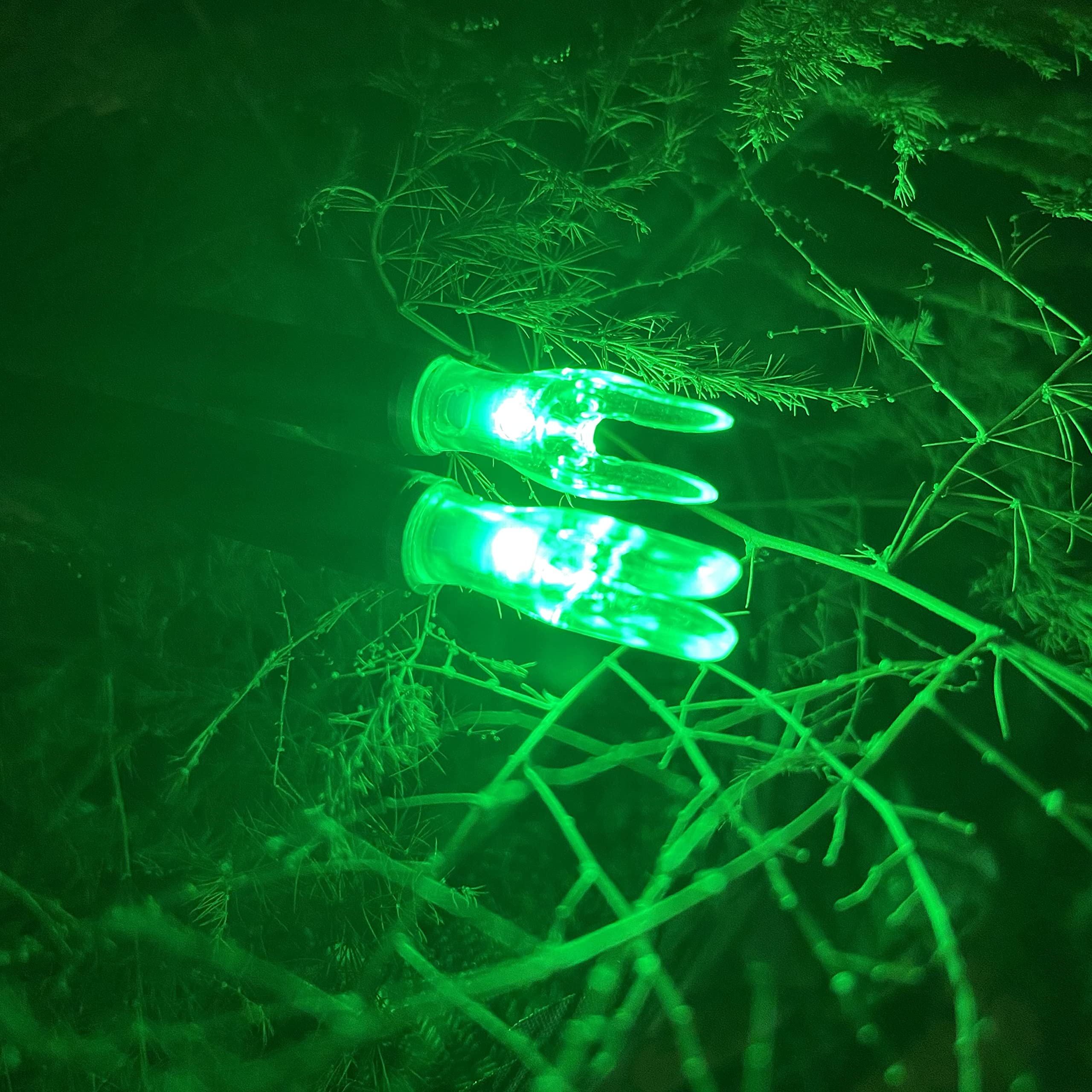Ellen Archery 6PCS New X Lighted Nock Universal LED S Nock Fit Arrows .204 .233 .244 .246 Inside Diameter Automatically Bowstring Screwdriver Included (Green)