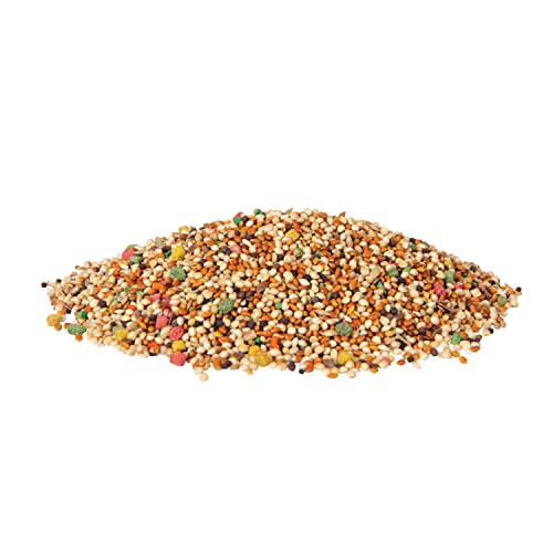 Wild Harvest Universal Blend for Small Birds, 10 lb Bag, Fortified Nutrition (P-99284)